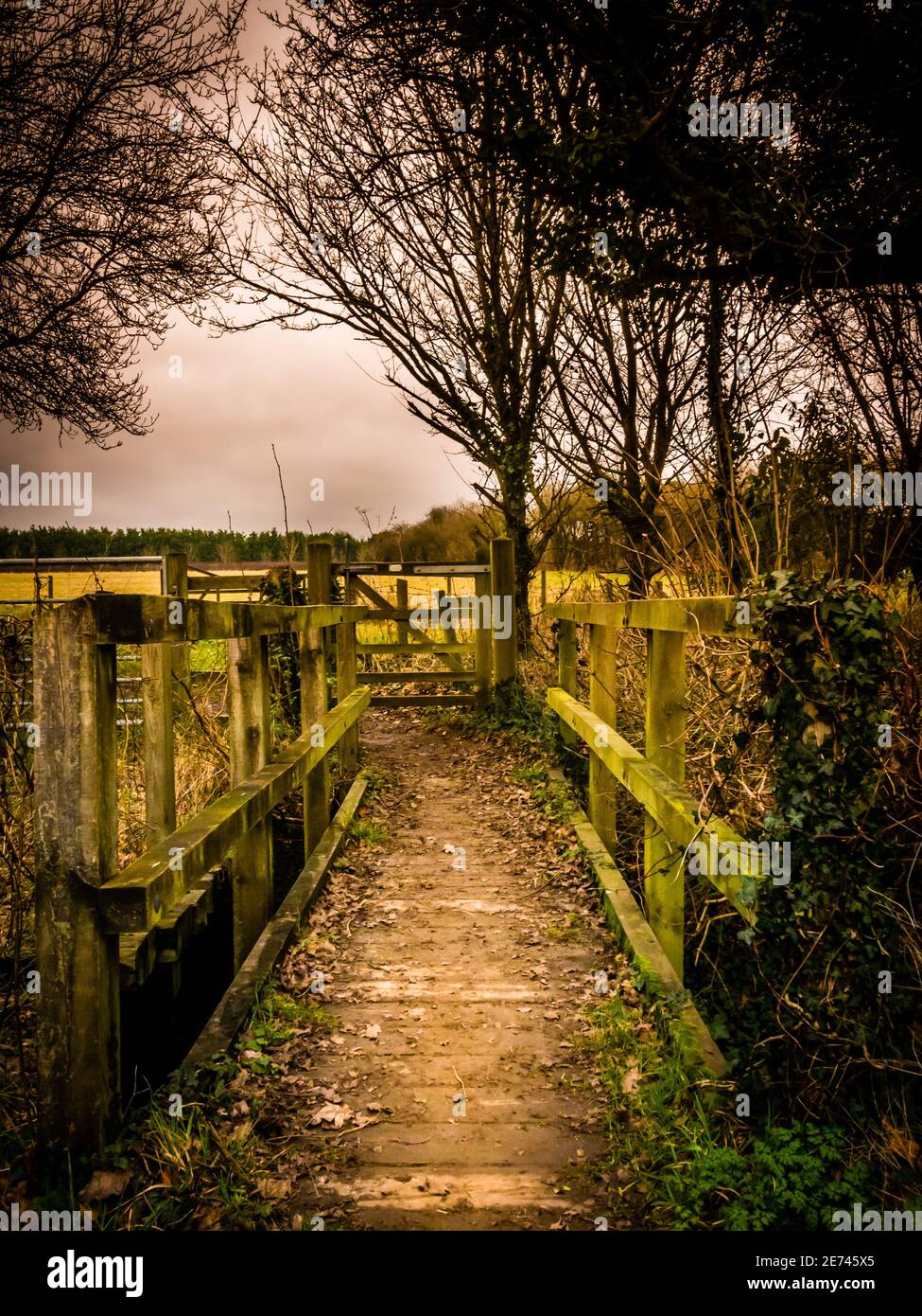 Footbridge over a stream on an English coutryside walk Stock Photo - Alamy
