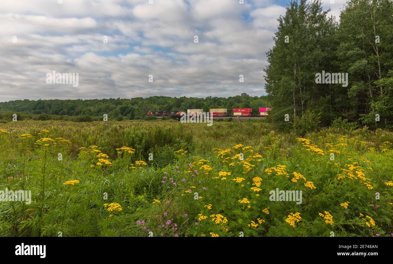 Freight train travelling through northern Wisconsin Stock Photo - Alamy