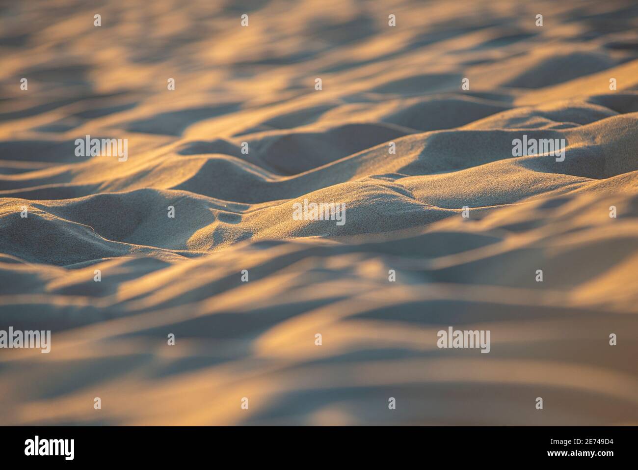 Close up of golden sand on a sand dune. Sunset hour, beautiful shadoes ...