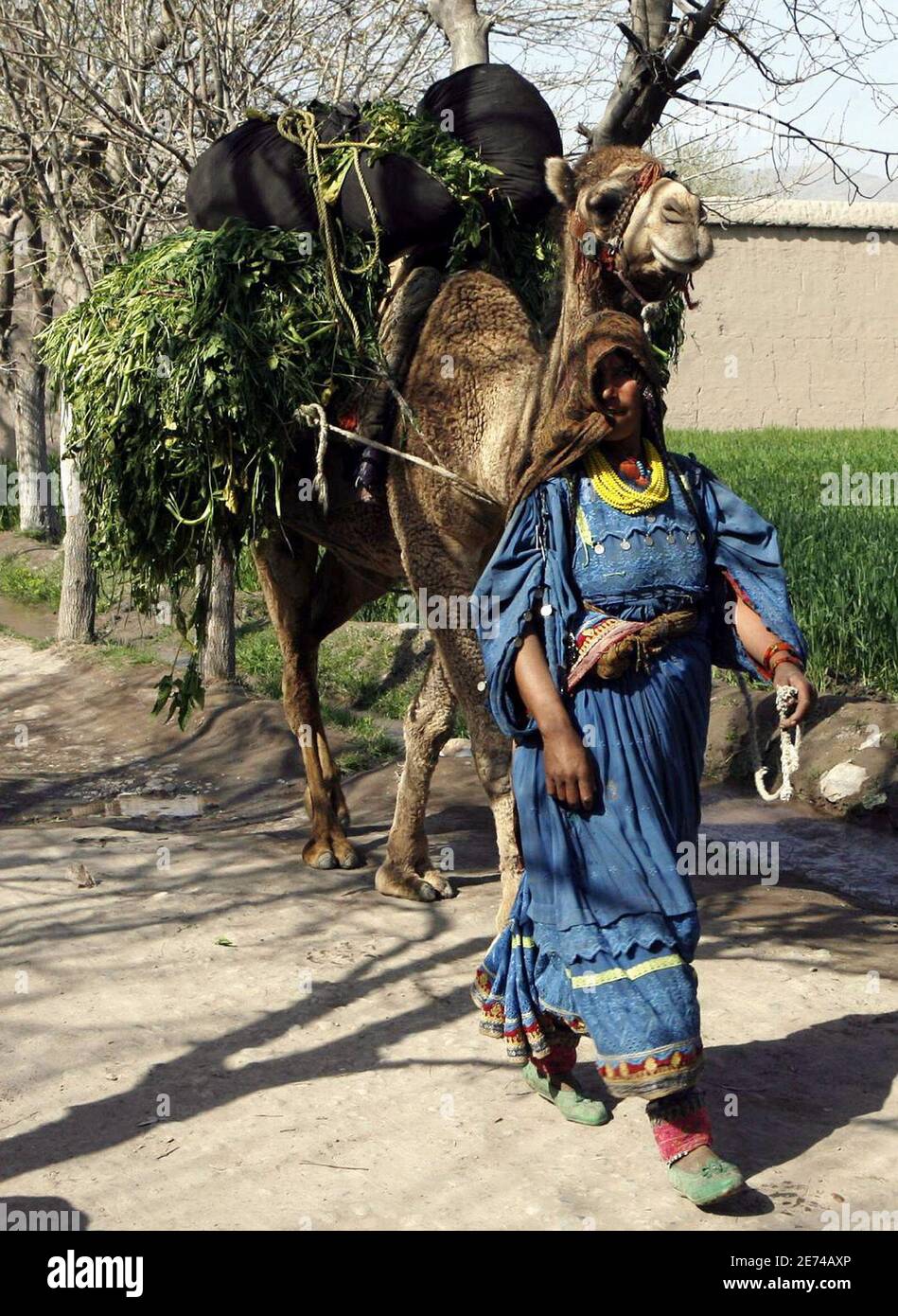 Kuchi nomad hi-res stock photography and images - Alamy