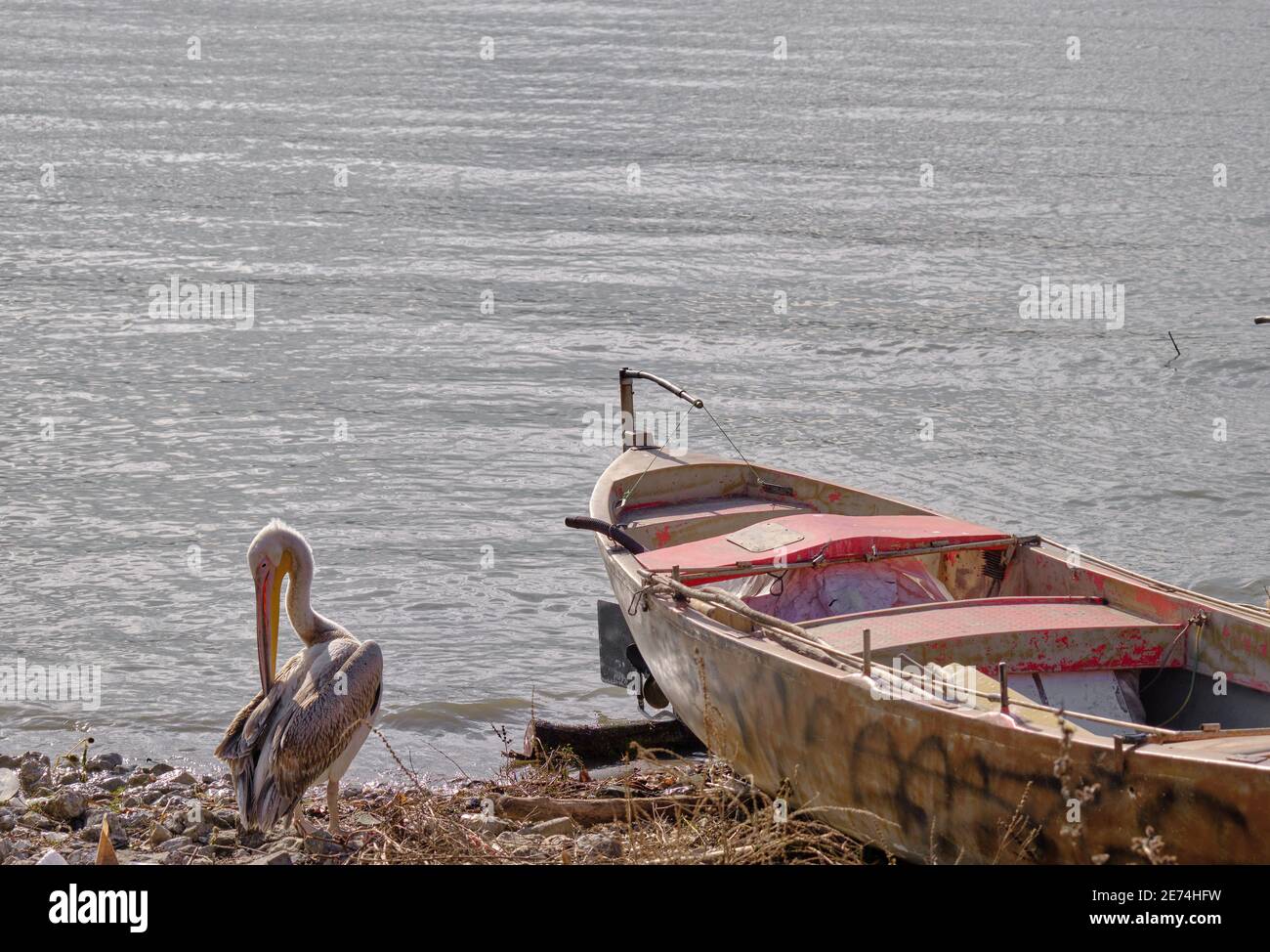 Groups of storks near the old and ancient boat made of stone with ...