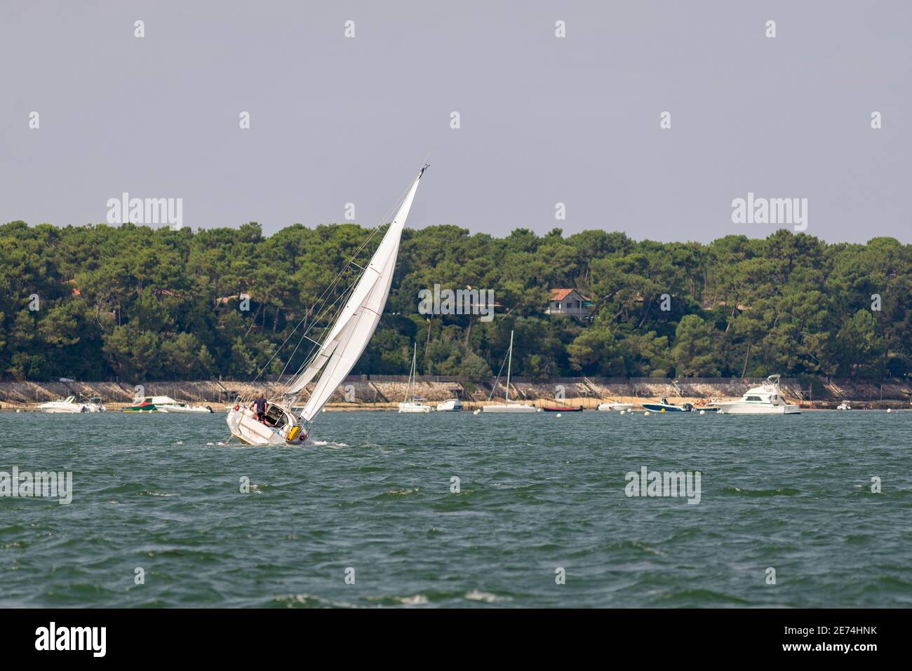 White sailboat is sailing upwind in the Bassin d'Arcachon, Gironde ...