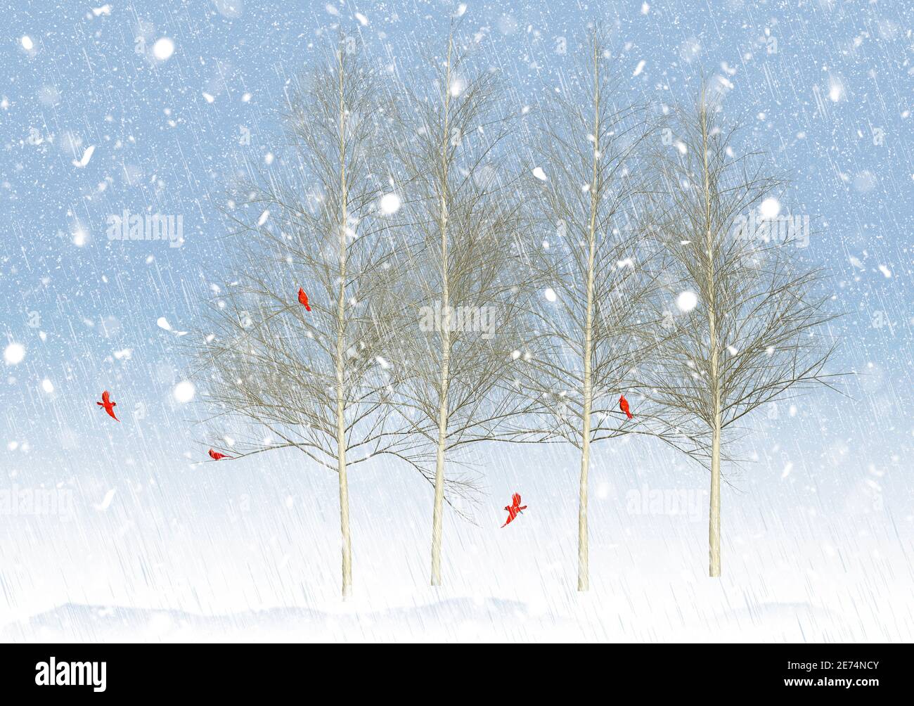 Red cardinal birds hi-res stock photography and images - Alamy