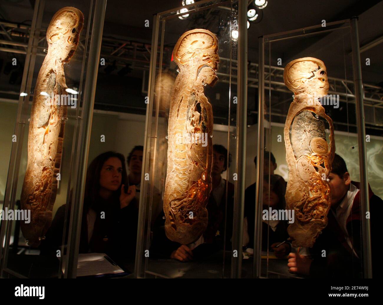 Parts of bodies hi-res stock photography and images - Alamy