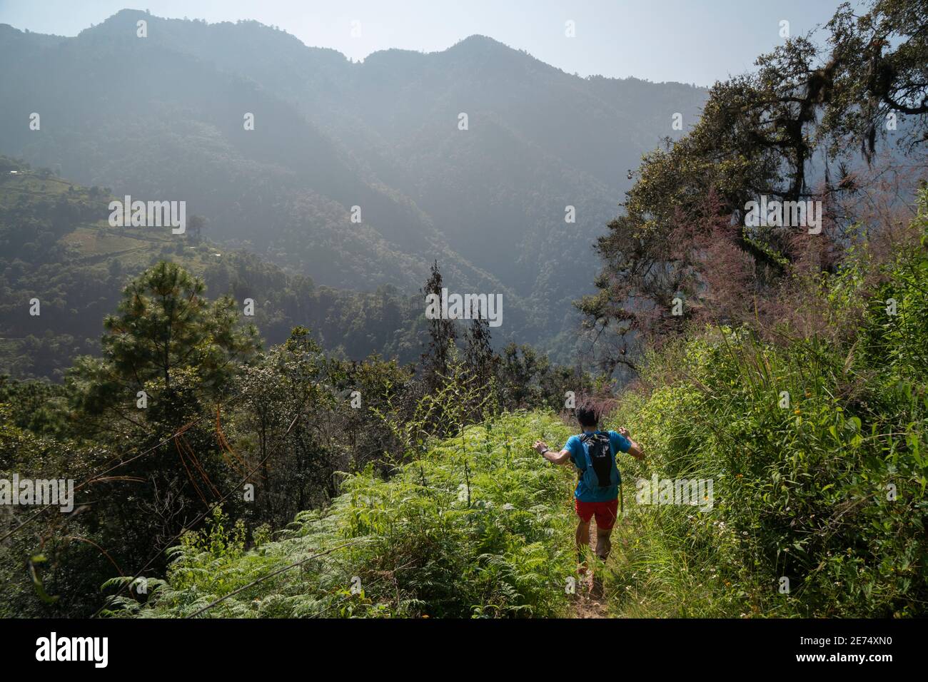 one person running down on a trail at a canyon with dense vegetation ...