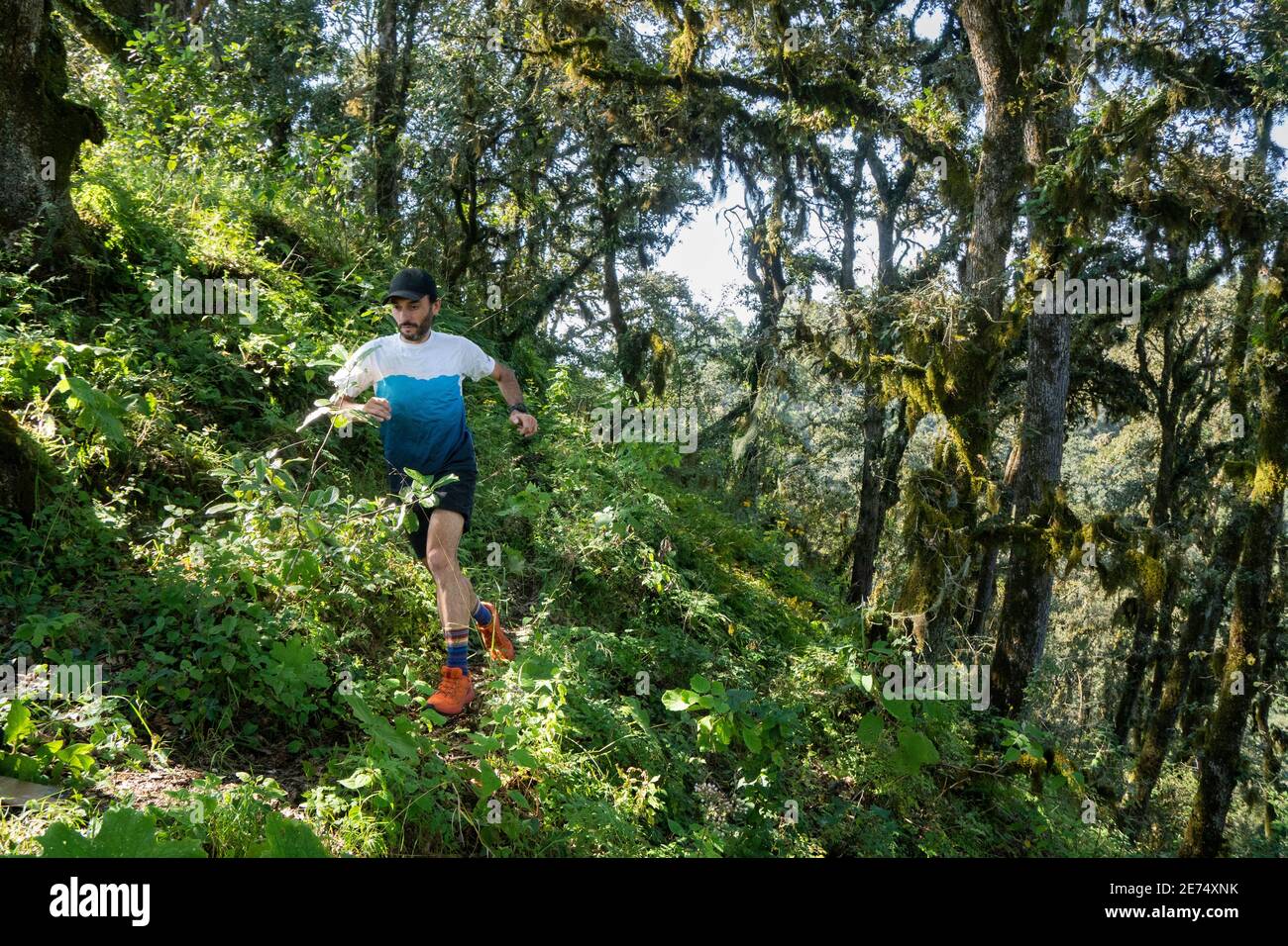 One man running on a trail surrounded by dense forest and vegetation ...