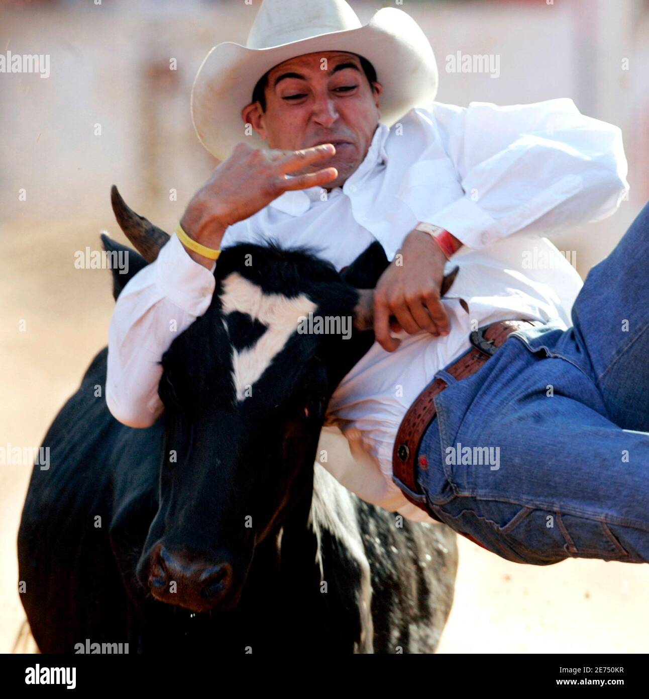 Bulldogging hi-res stock photography and images - Alamy