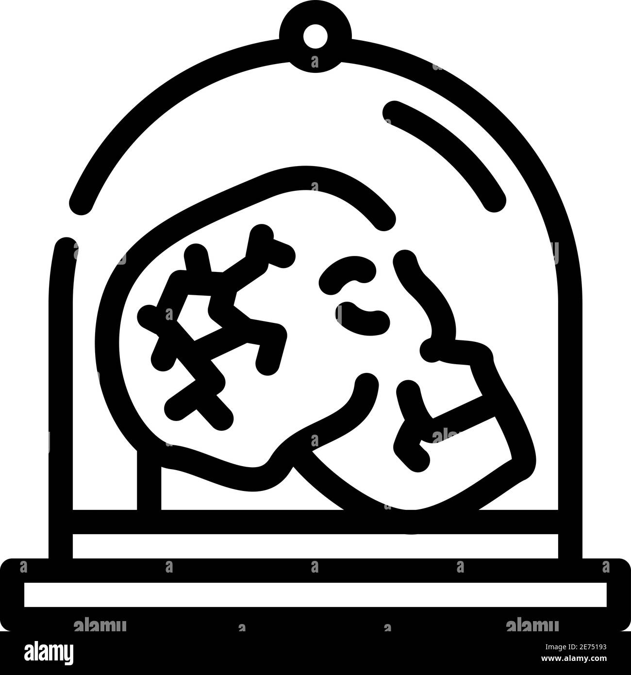 Dinosaur exhibit museum Black and White Stock Photos & Images - Alamy