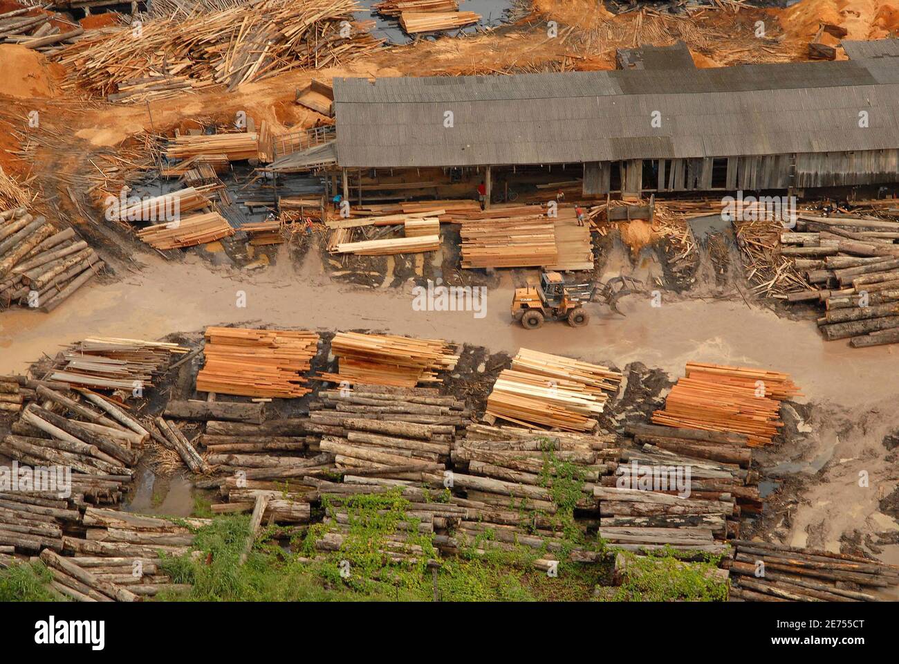 Illegal logging amazon rainforest hi-res stock photography and images ...