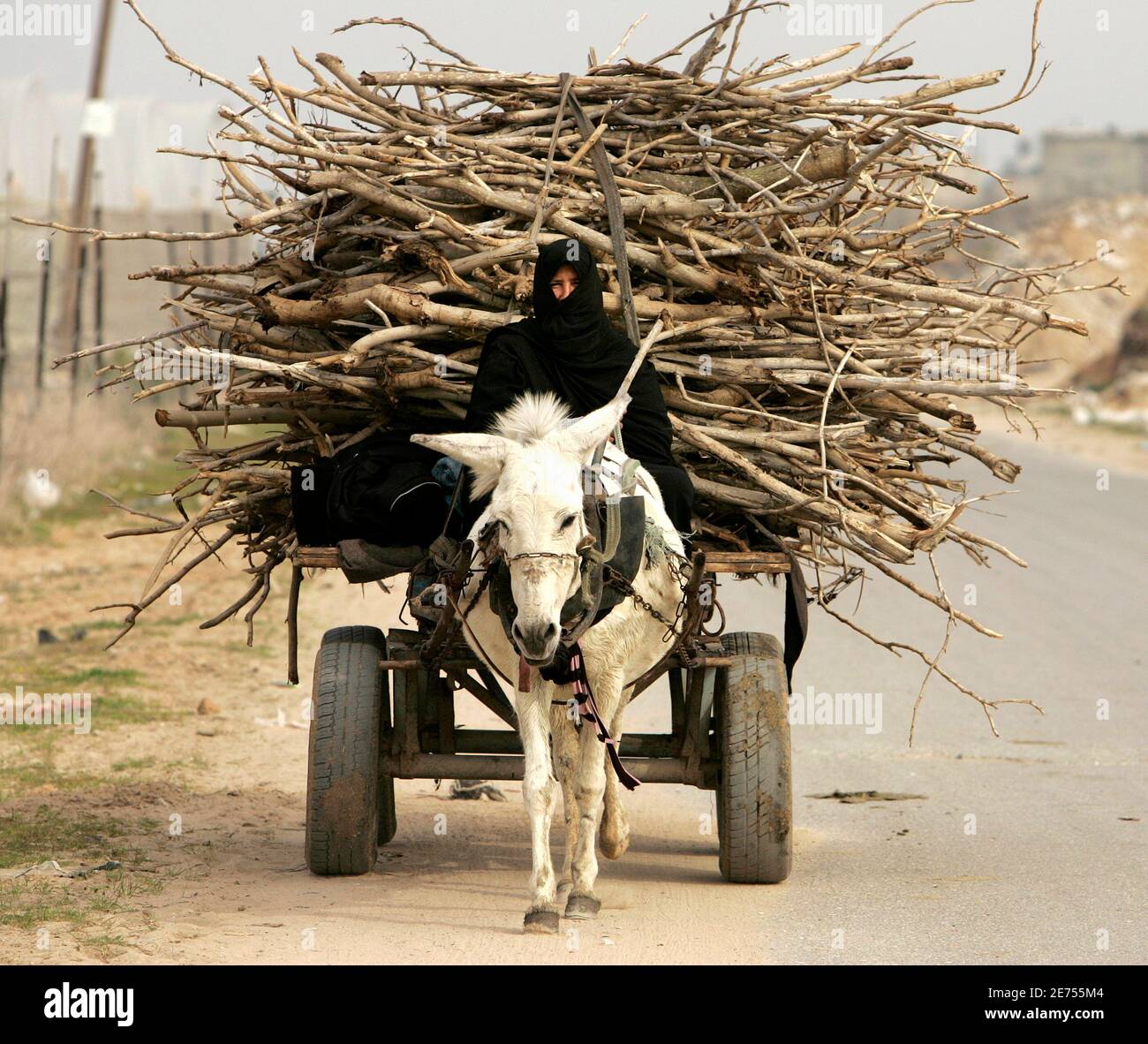 Overloaded Donkey High Resolution Stock Photography and Images - Alamy