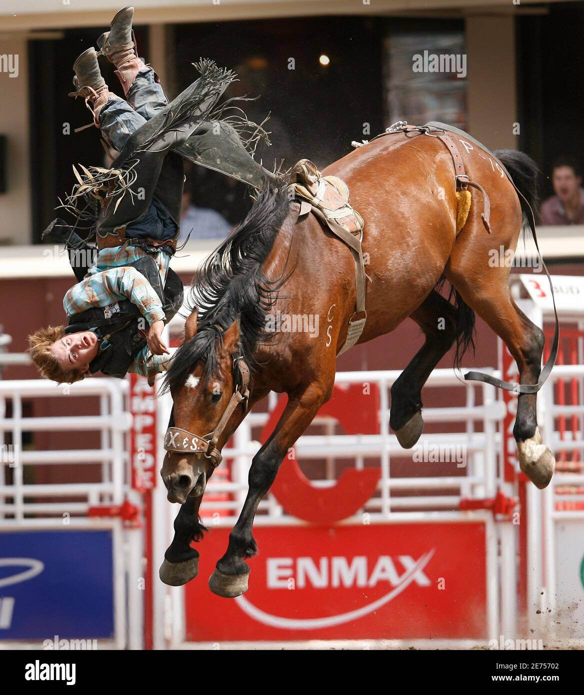 Bucked hi-res stock photography and images - Alamy