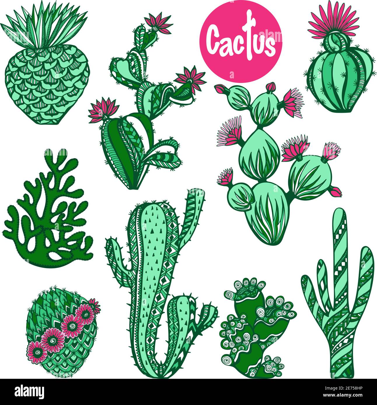 Unusual houseplant Stock Vector Images - Alamy
