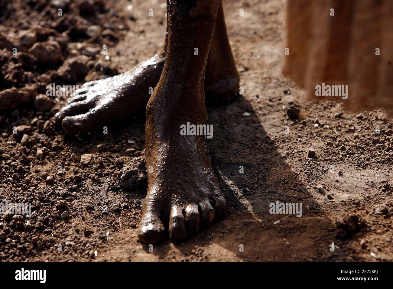 Mud Covered Feet High Resolution Stock Photography and Images - Alamy