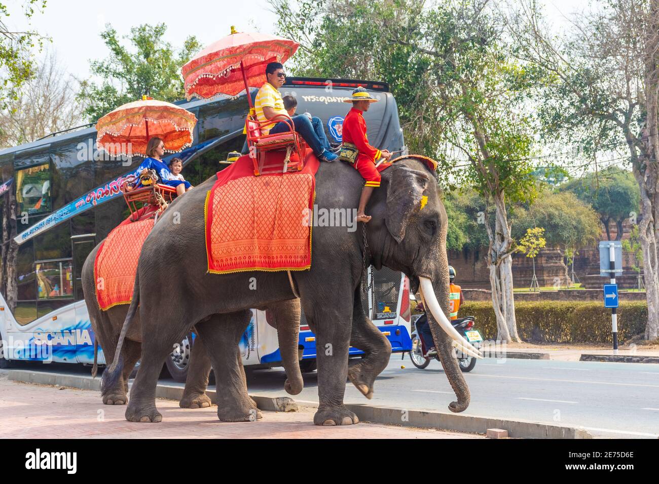 AYUTTHAYA, THAILAND, 12 JANUARY 2020: Elephants transporting tourists ...