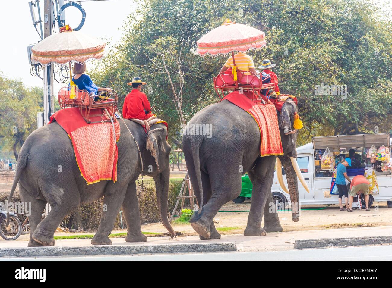 AYUTTHAYA, THAILAND, 12 JANUARY 2020: Elephants transporting tourists ...
