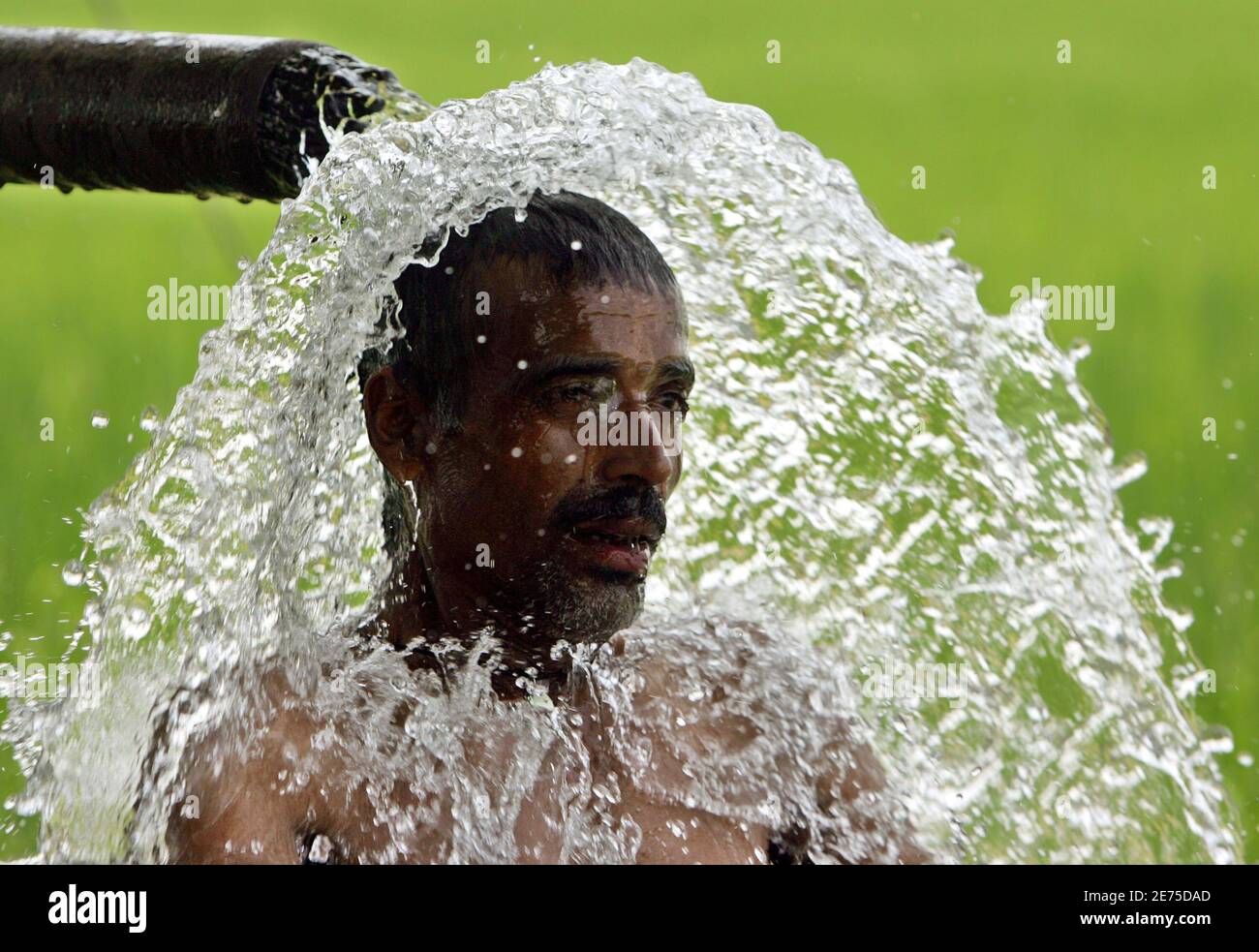 Agricultural Labourer Is High Resolution Stock Photography and Images ...