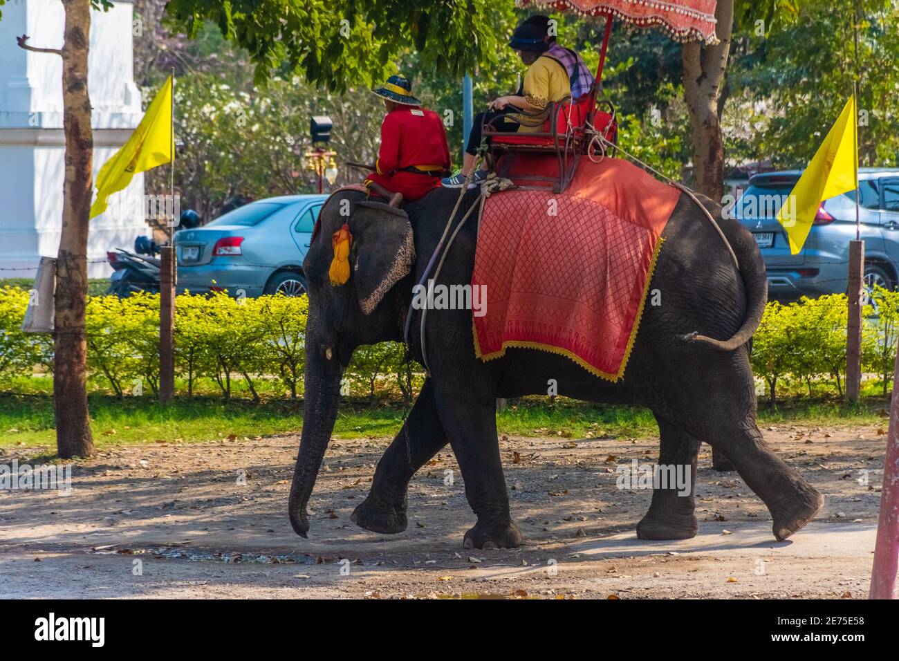AYUTTHAYA, THAILAND, 12 JANUARY 2020: Elephants transporting tourists ...