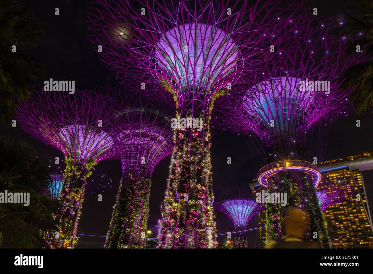 SINGAPORE, 3 OCTOBER 2019: The Supertrees of Gardens by the bay by ...