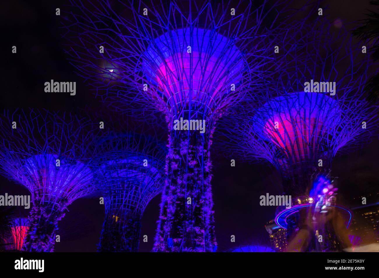SINGAPORE, 3 OCTOBER 2019: The Supertrees of Gardens by the bay by ...