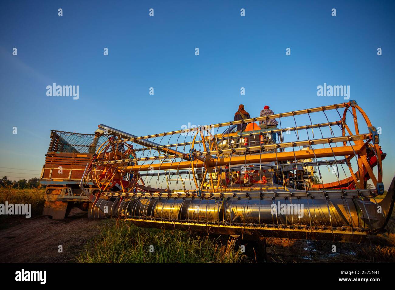 Agricultural machinery in the rice fields at sunset Stock Photo - Alamy