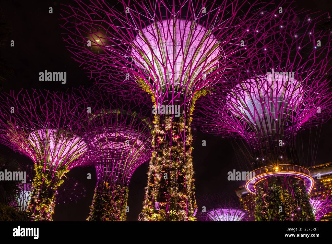 SINGAPORE, 3 OCTOBER 2019: The Supertrees of Gardens by the bay by ...