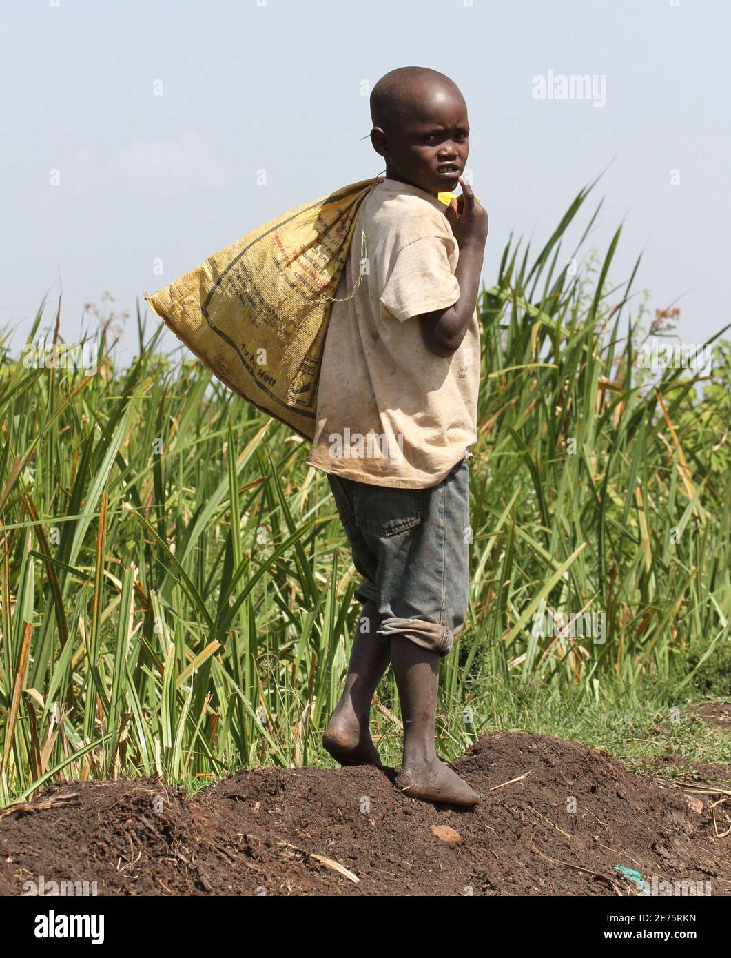 Mwea rice hi-res stock photography and images - Alamy