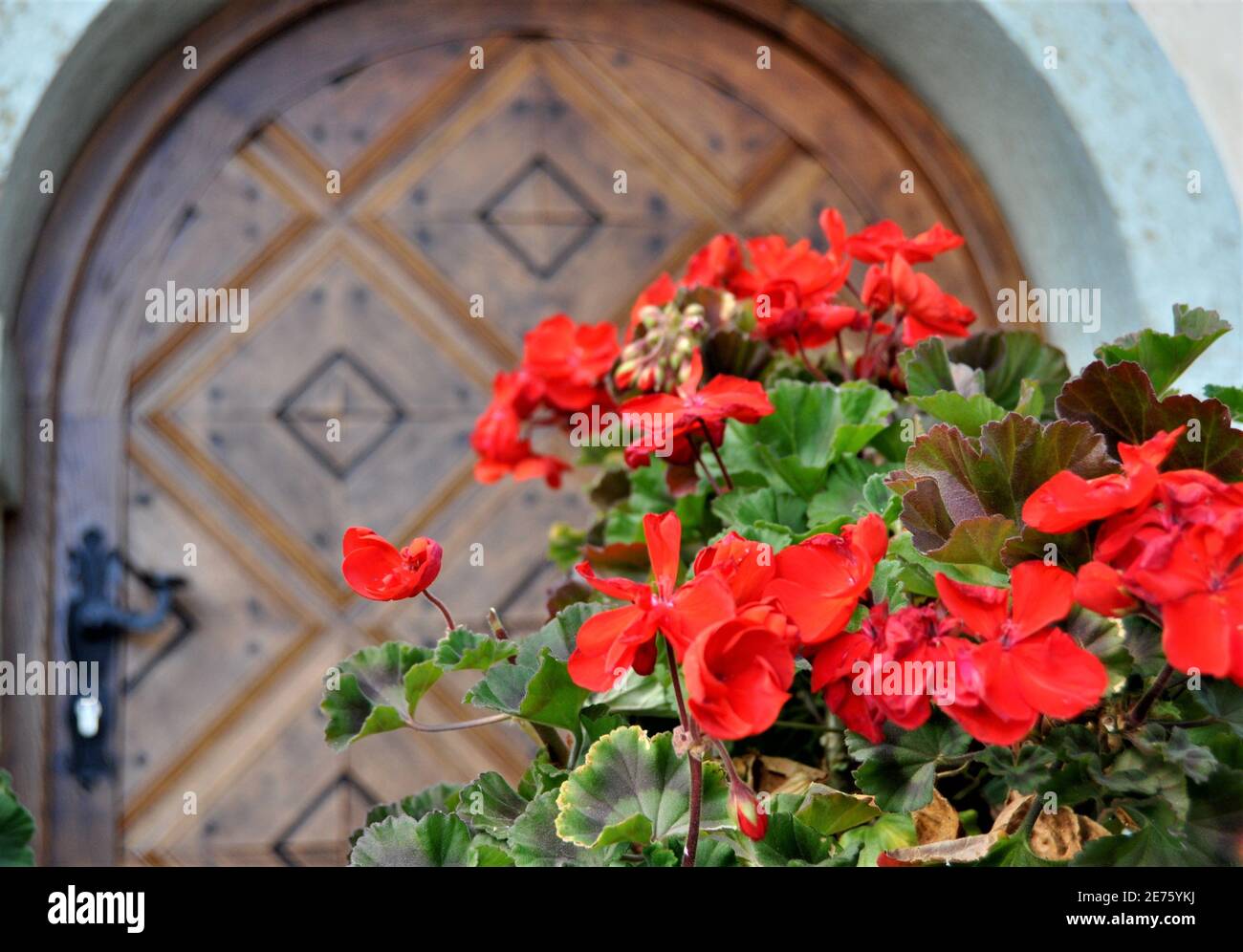 Arch door flower hi-res stock photography and images - Alamy