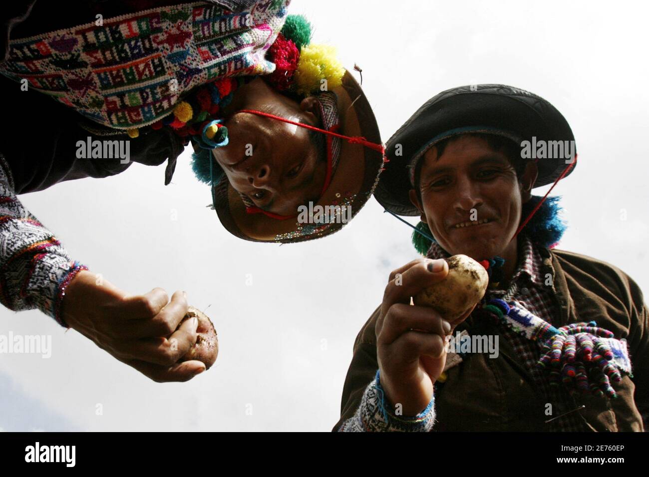 Native potato varieties peru hi-res stock photography and images - Alamy