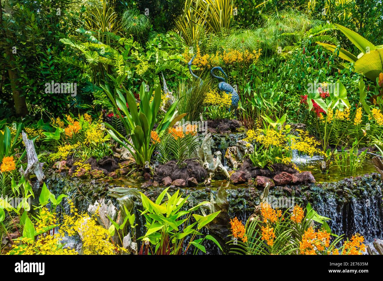 Beautiful vegetation in Singapore botanic gardens Stock Photo - Alamy