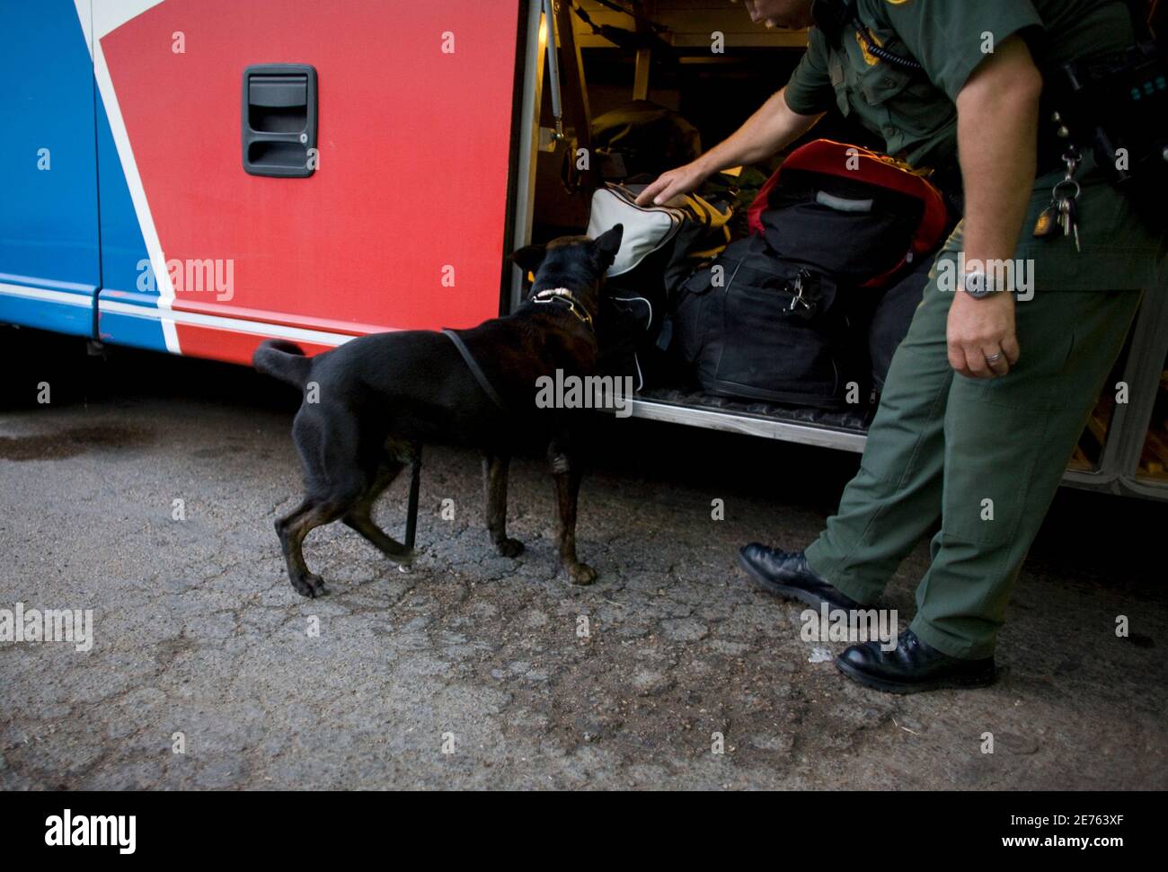Texas mexico border patrol dog hi-res stock photography and images - Alamy