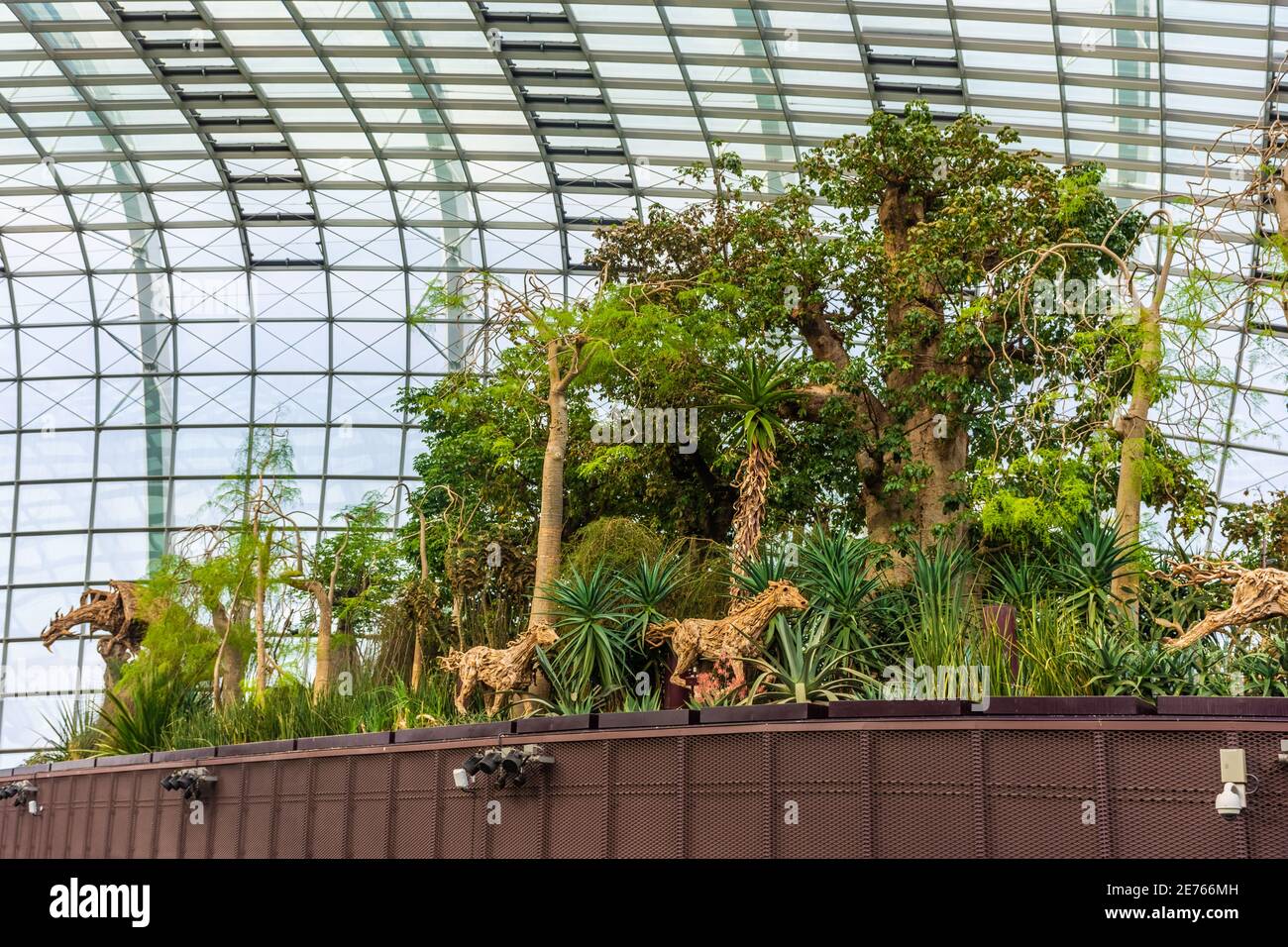 SINGAPORE, 3 OCTOBER 2019: the Flower Dome in Singapore Stock Photo - Alamy