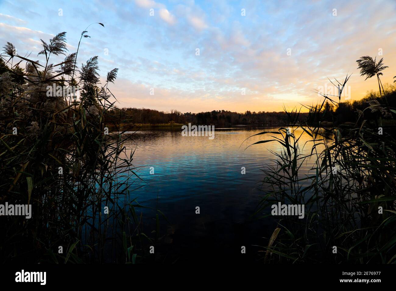 New york morning walk hi-res stock photography and images - Alamy