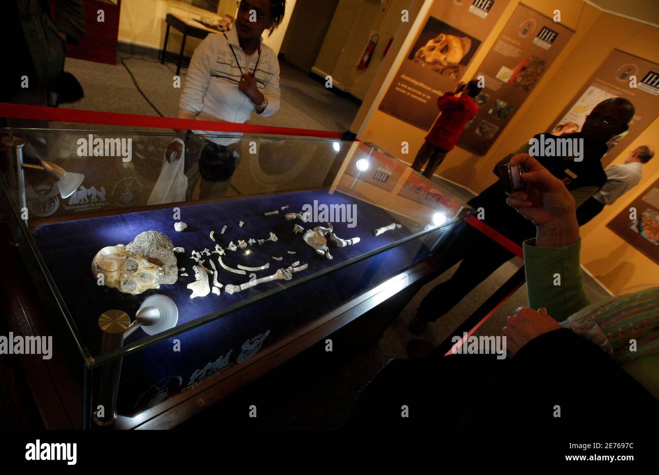 Australopithecine High Resolution Stock Photography and Images - Alamy