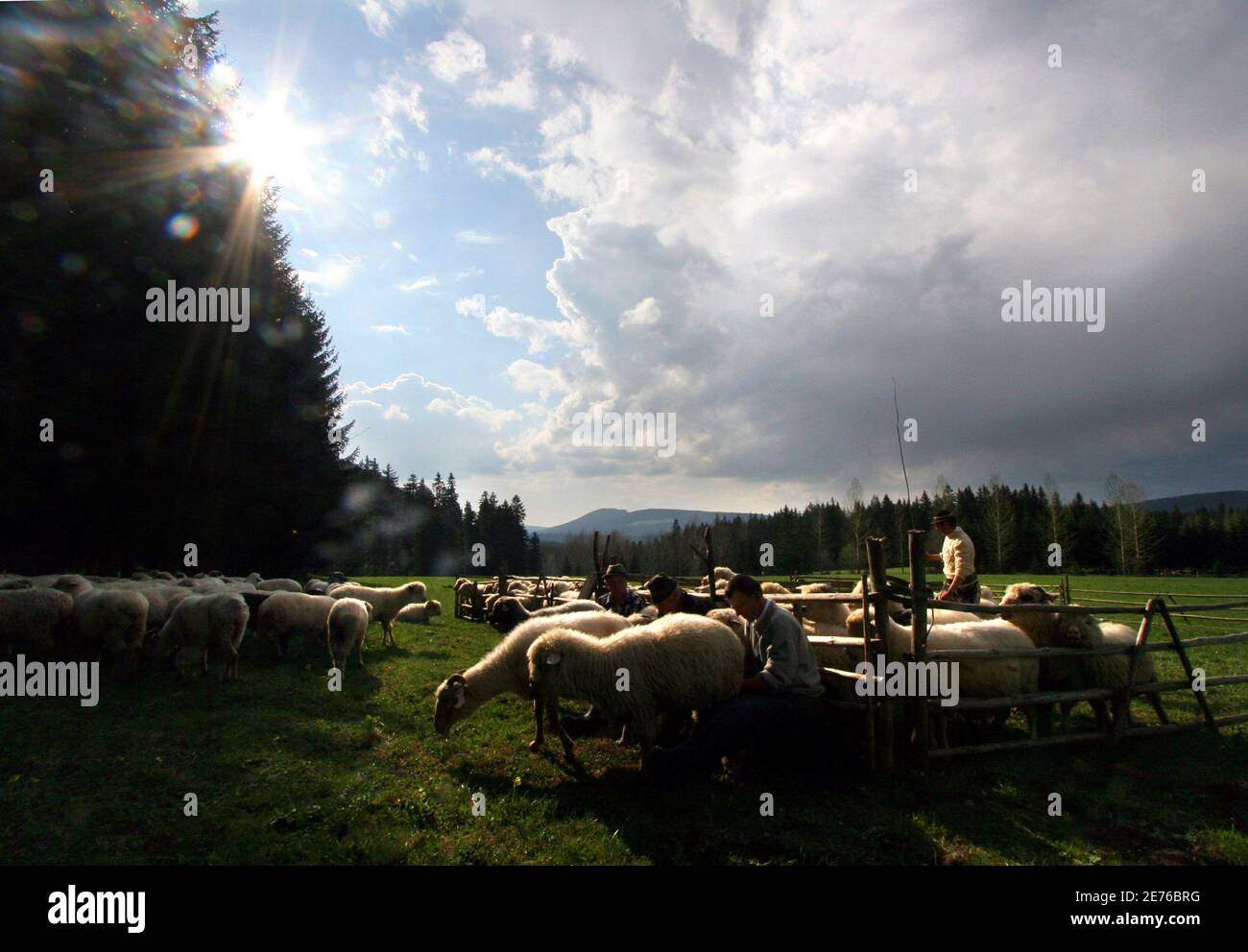 Highlanders of the tatra mountains hi-res stock photography and images ...