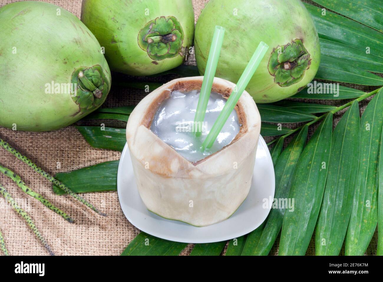 Fresh Iced Coconuts Stock Photo - Alamy