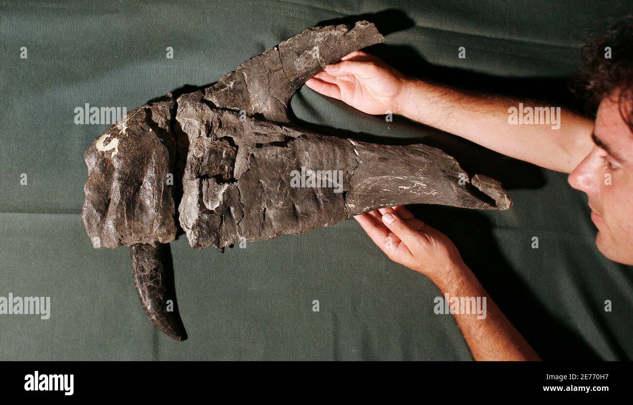 Central western portugal hi-res stock photography and images - Alamy