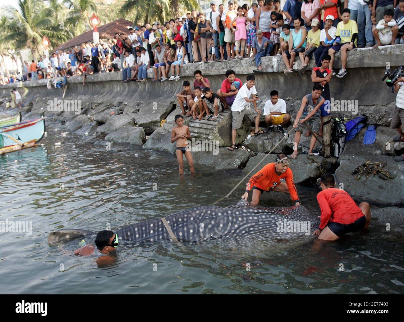 Dead Human Floating High Resolution Stock Photography and Images - Alamy