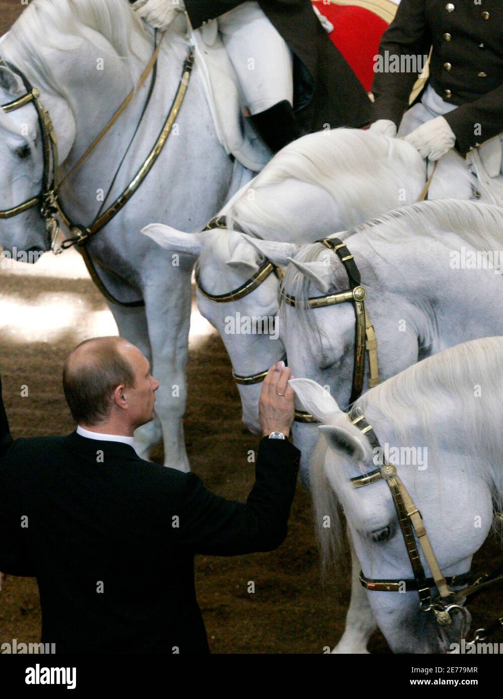 Russian president vladimir putin riding hi-res stock photography and ...