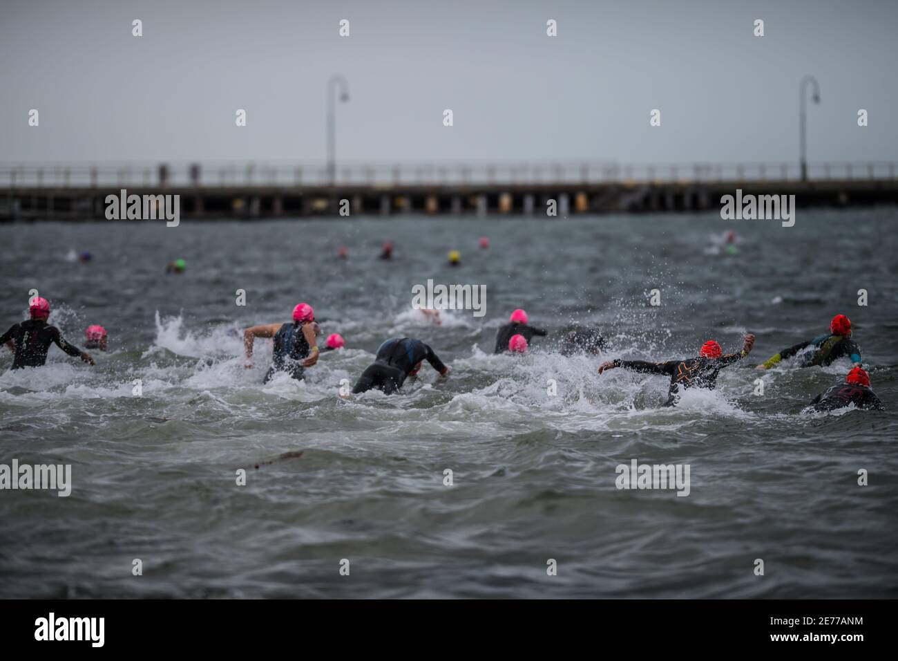 Alamy images of st kilda hi-res stock photography and images - Alamy