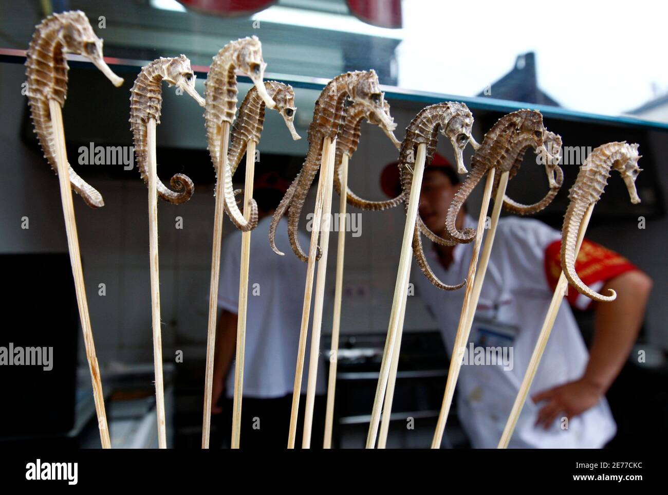 Seahorses as food hi-res stock photography and images - Alamy