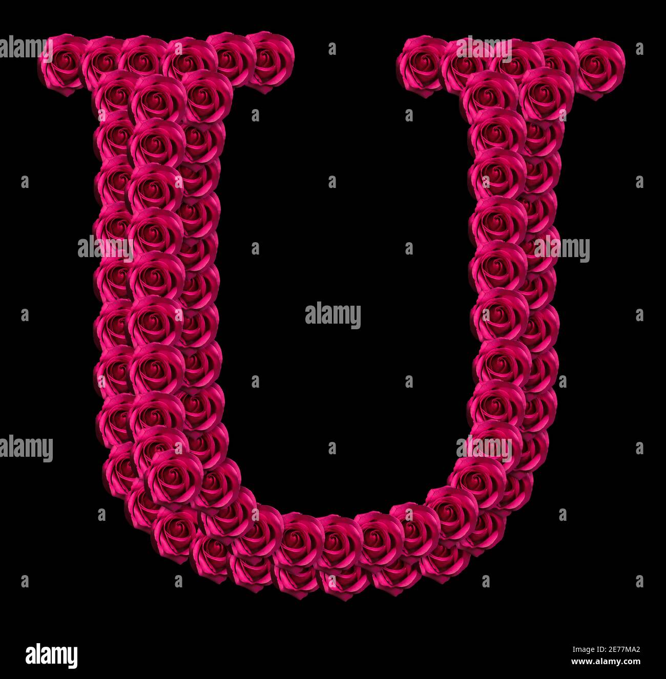 romantic concept image of a capital letter U made of red roses ...