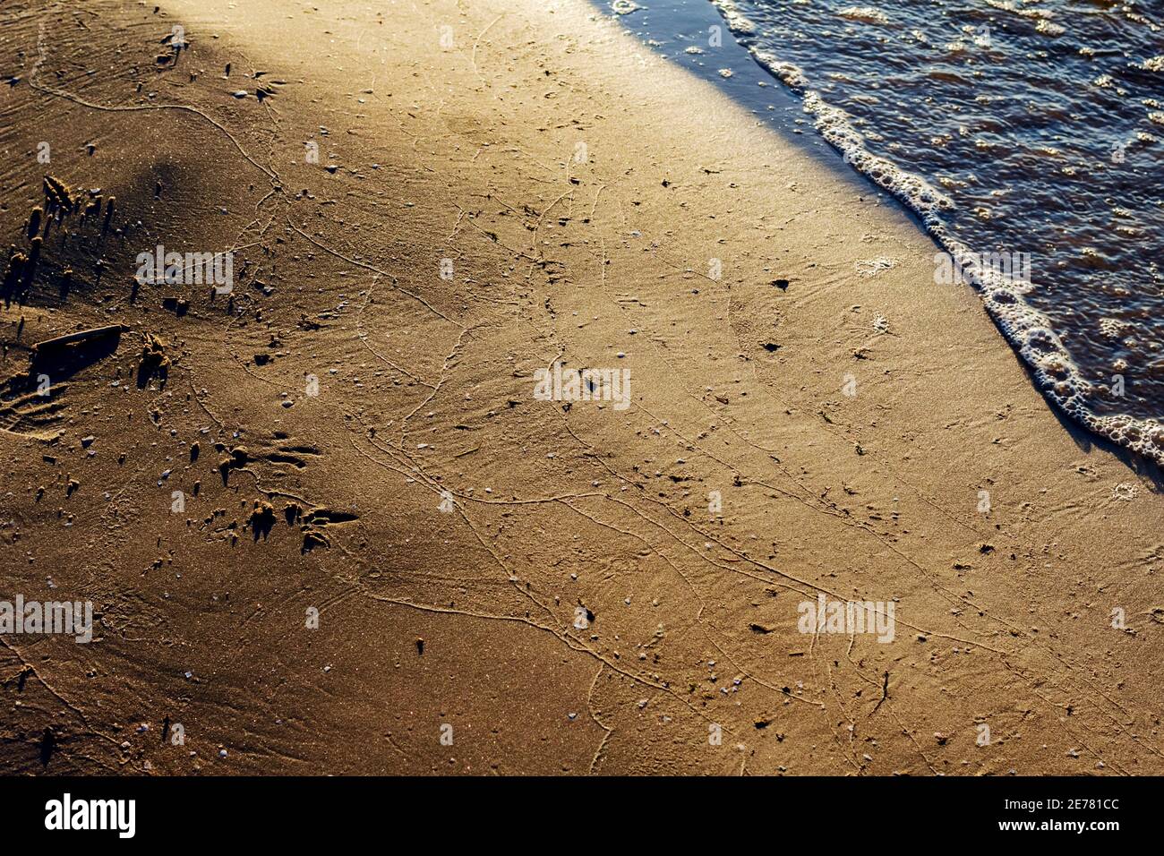 Wet sea sand hi-res stock photography and images - Alamy