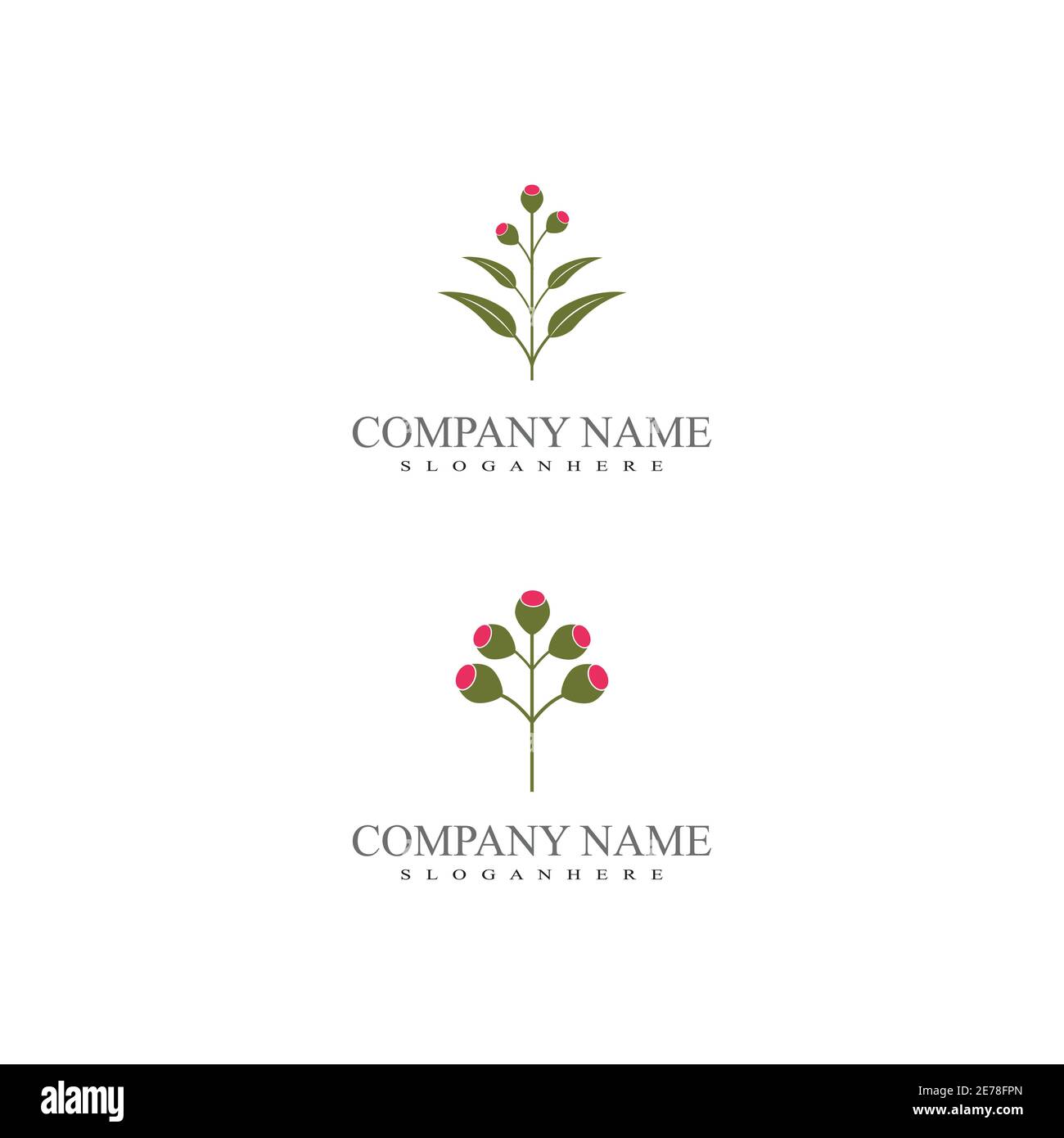 Eucalyptus tree illustration hi-res stock photography and images - Alamy