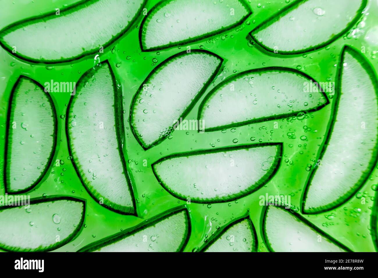 Aloe vera slice texture background. Medicinal plant. Used to treat and ...