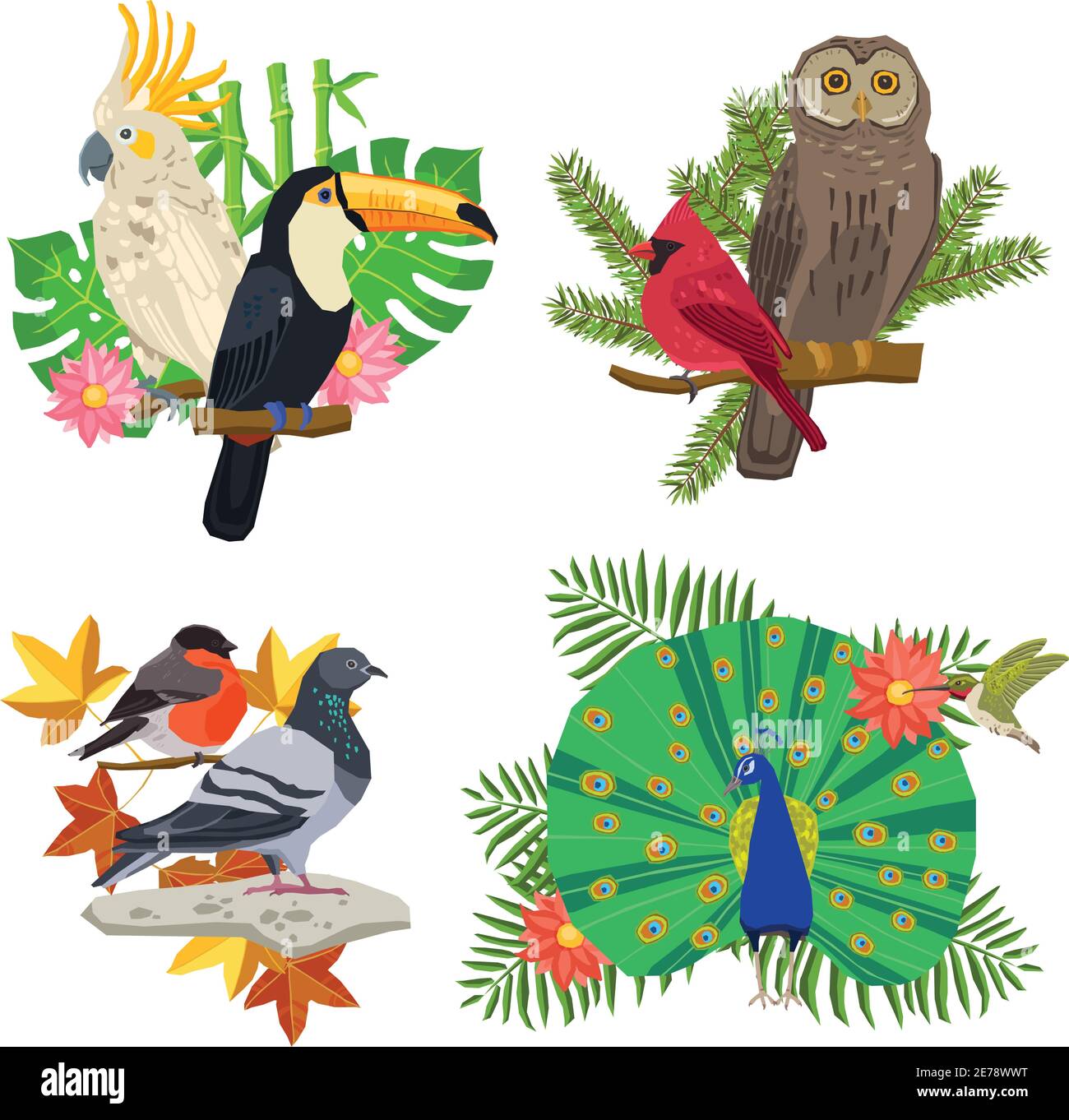 Tropical and forest birds on tree branches with flowers isolated vector ...