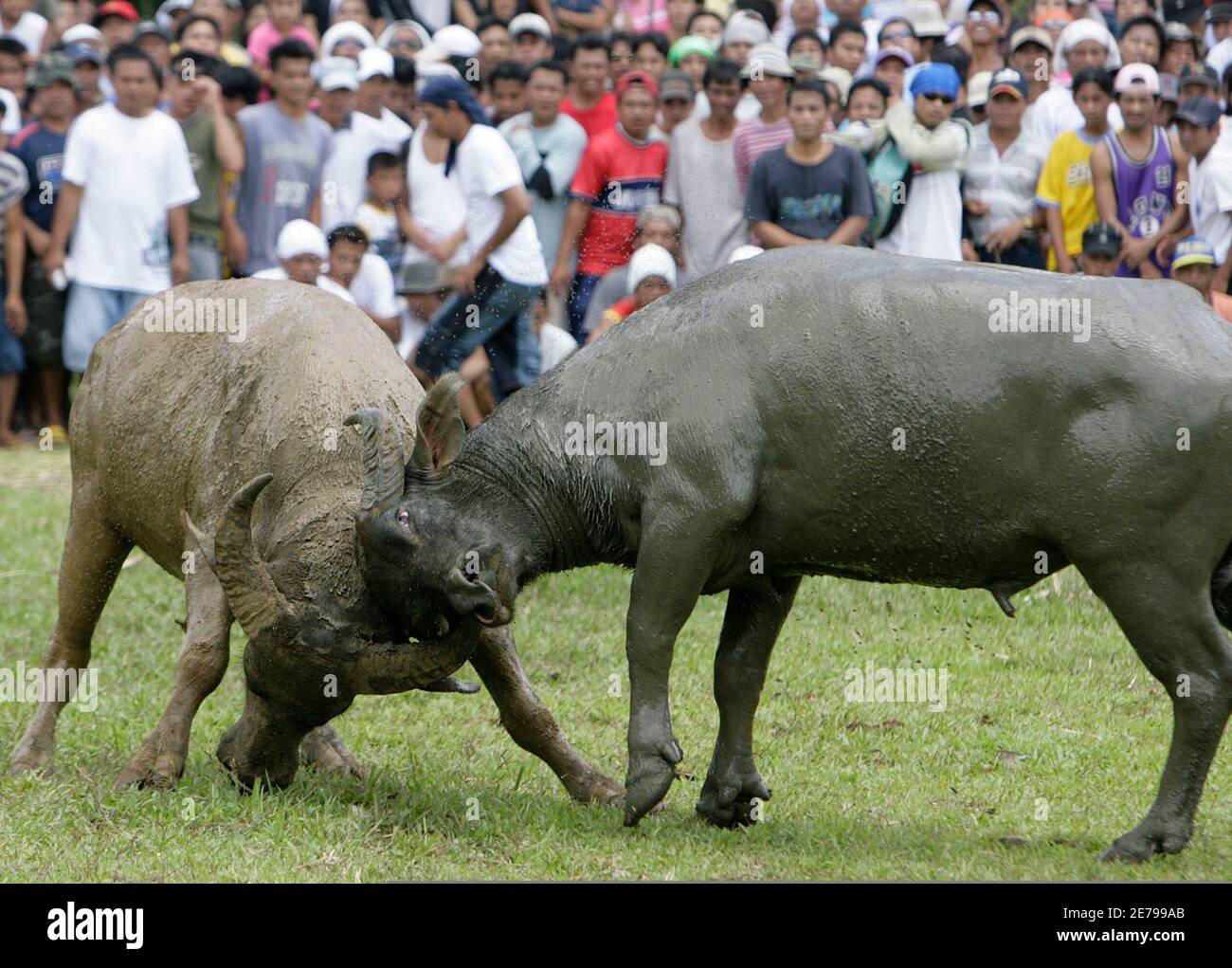 Carigara hi-res stock photography and images - Alamy