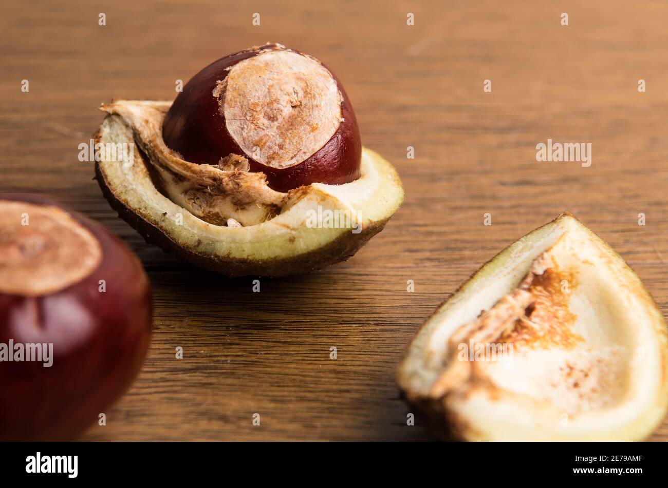 Conker in shell hi-res stock photography and images - Alamy