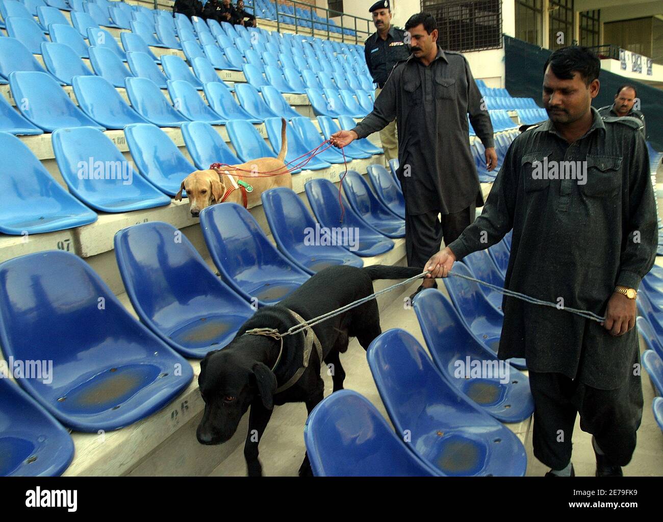 Pakistani Dogs High Resolution Stock Photography and Images - Alamy