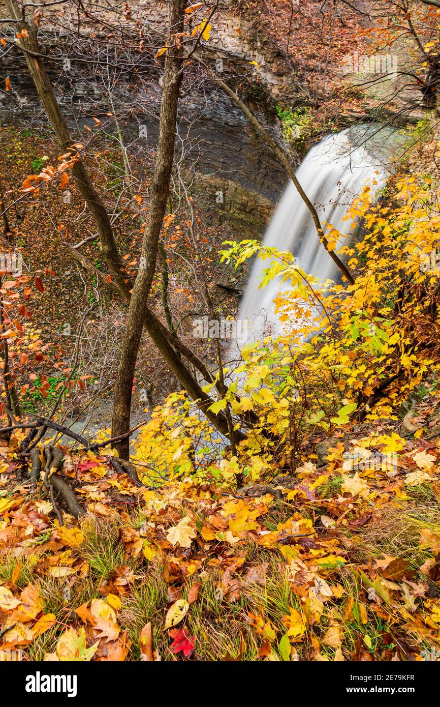Niagara Escarpment Bruce Trail Autumn Waterfalls and Forest Stock Photo ...