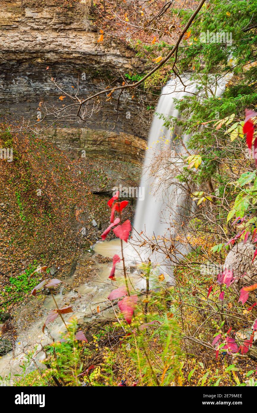 Niagara Escarpment Bruce Trail Autumn Waterfalls and Forest Stock Photo ...